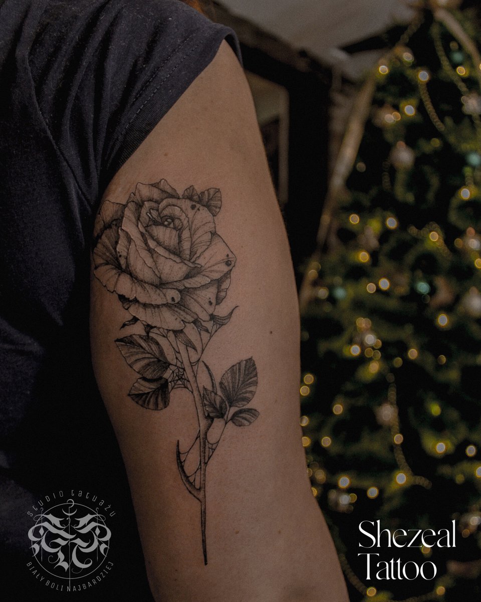 Tatuaż #107958 - Dagmara Troska - Styl: Dotwork | TattooArtist