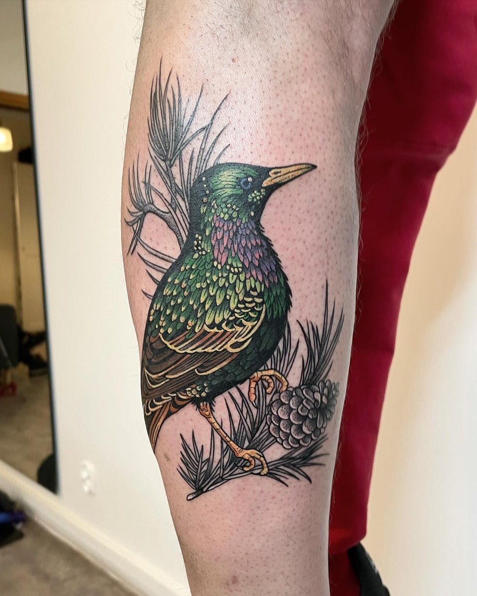 Tatuaż #131409 - Rafał Kusy - Styl: Dotwork | TattooArtist