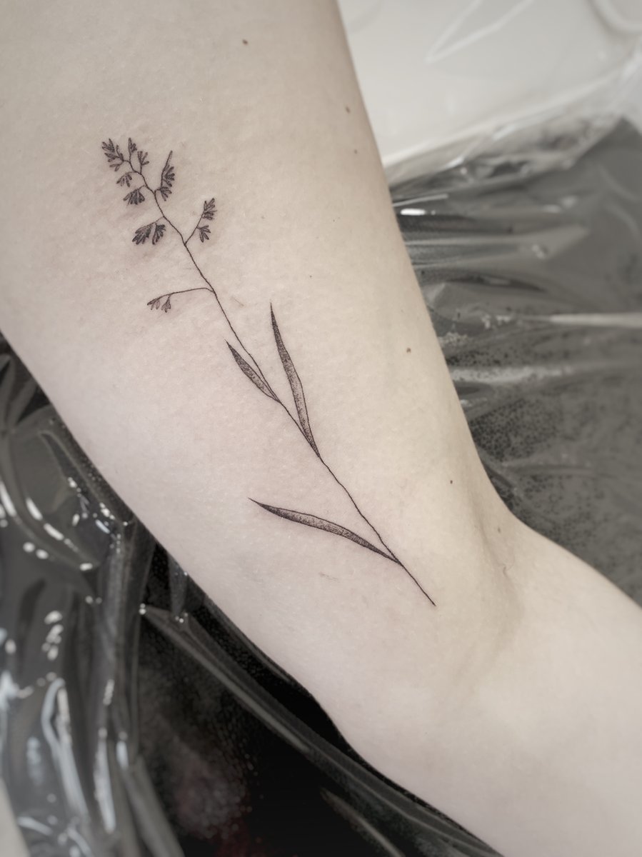 Tatuaż #48803 - Basia Kowalska - Styl: Dotwork | TattooArtist